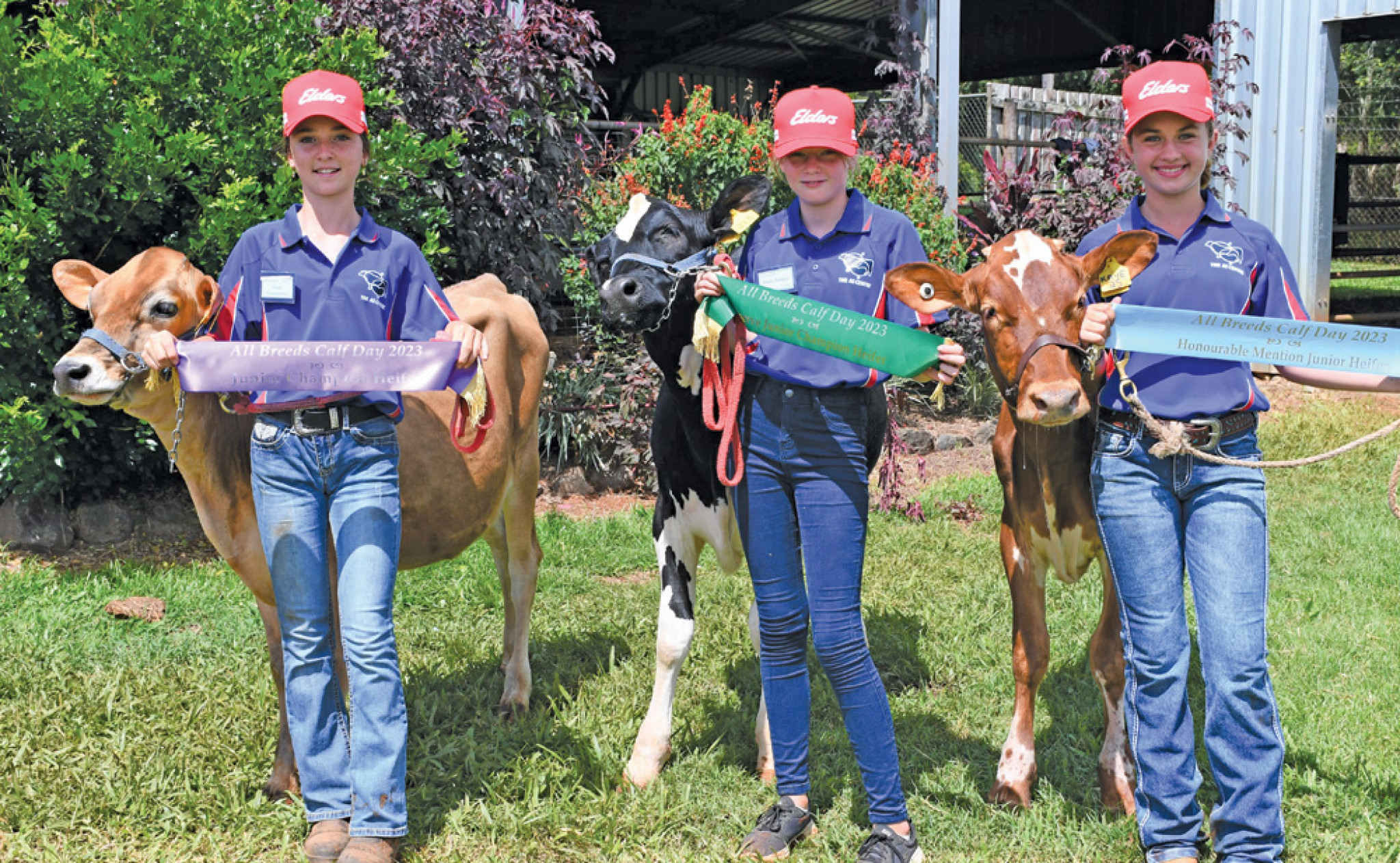 All Breeds Dairy Youth Camp judged a winner | The Express Newspaper ...