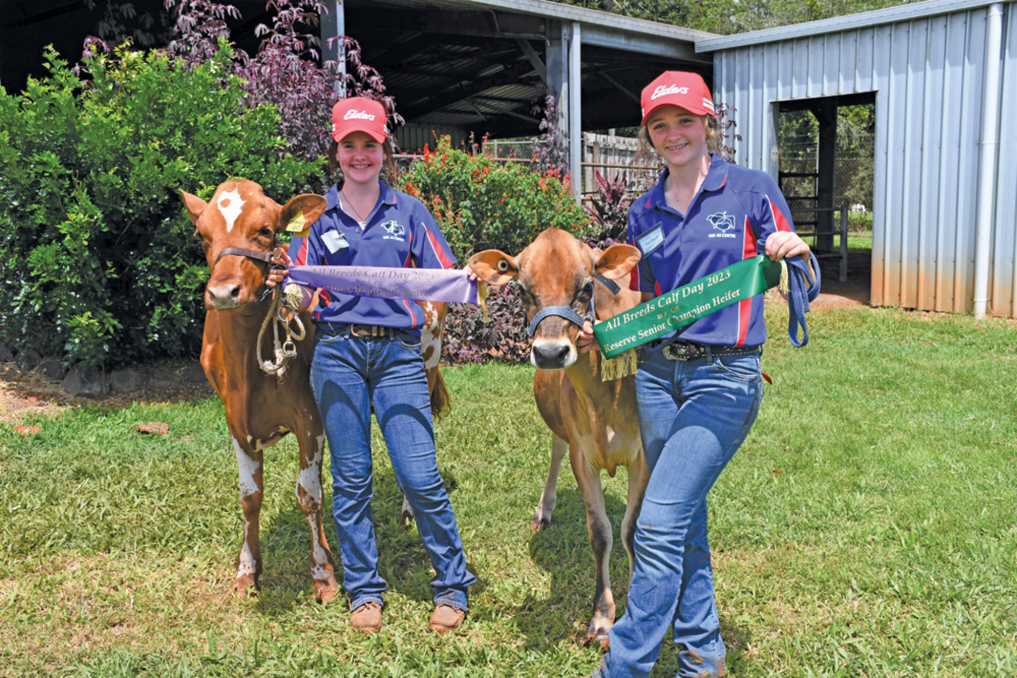 All Breeds Dairy Youth Camp judged a winner | The Express Newspaper ...