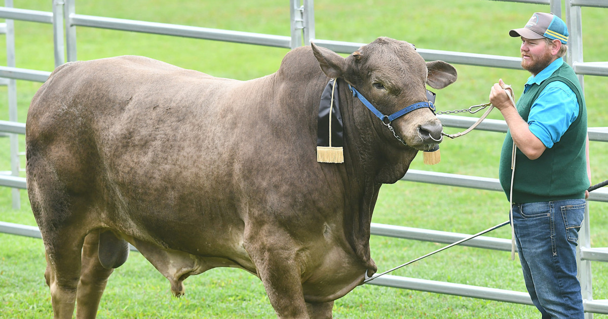 Ag show funding | The Express Newspaper | Local News covering Sport ...