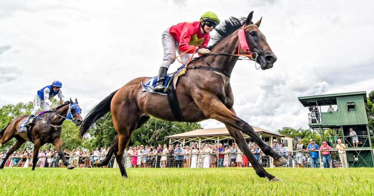 Race day returns | The Express Newspaper | Local News covering Sport ...