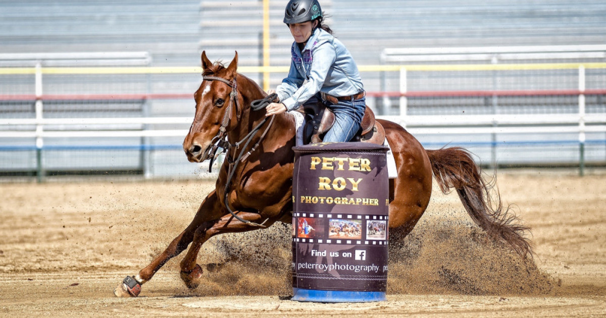 Local barrel racer set for arena action | The Express Newspaper | Local ...