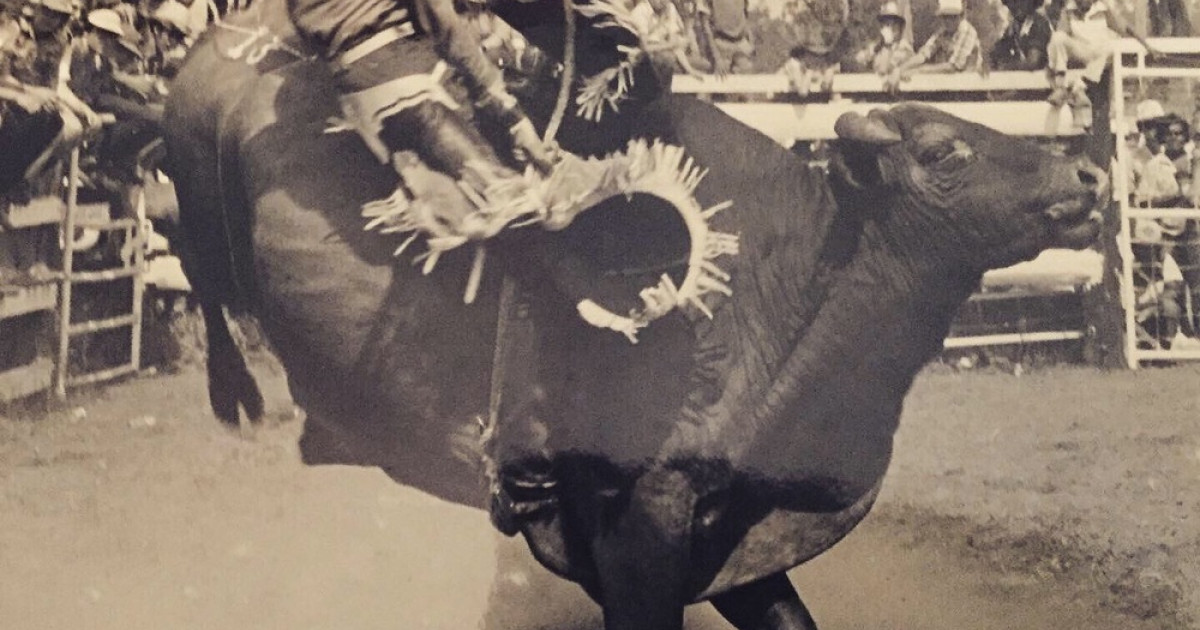 Queen of the chutes | The Express Newspaper | Local News covering Sport ...