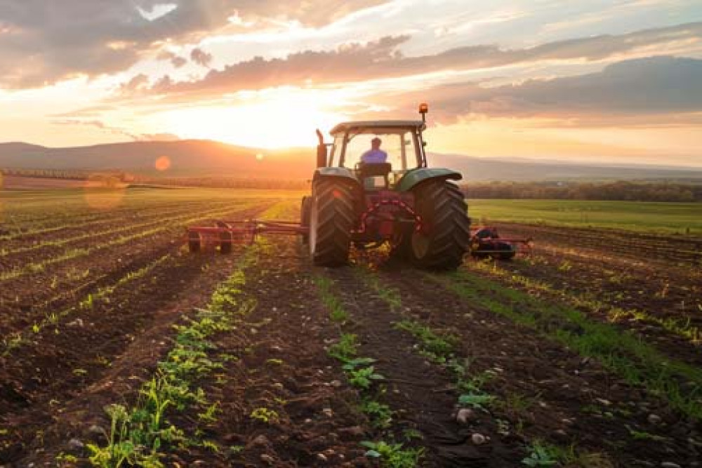 Low interest for low emissions | The Express Newspaper | Local News ...