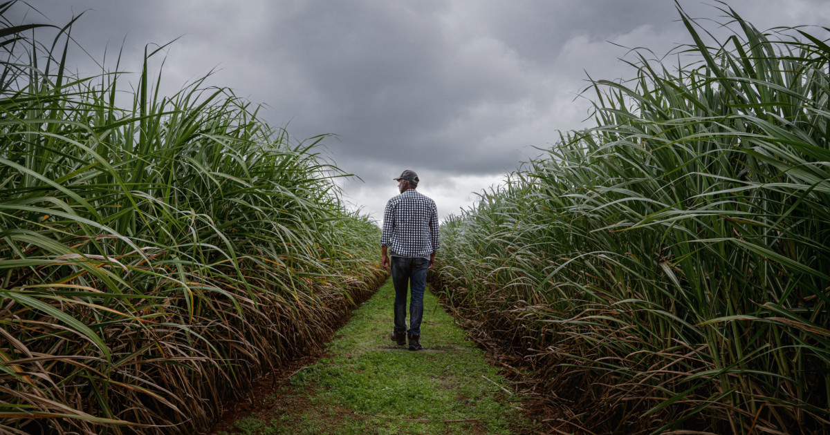 Farm crimes focus of new campaign | The Express Newspaper | Local News ...