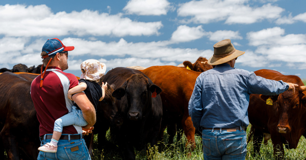 New heights for Tablelands beef | The Express Newspaper | Local News ...