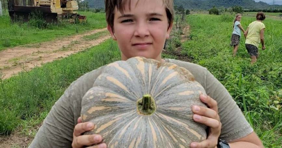 Pumpkins reign supreme on Tablelands | The Express Newspaper | Local ...