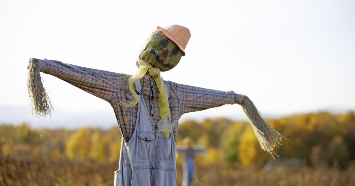 Scarecrow Festival brings the fun | The Express Newspaper | Local News ...