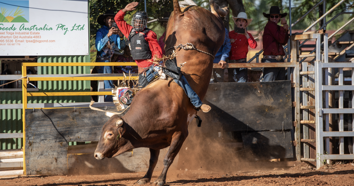 CHILLAGOE RODEO – THE RESULTS | The Express Newspaper | Local News ...