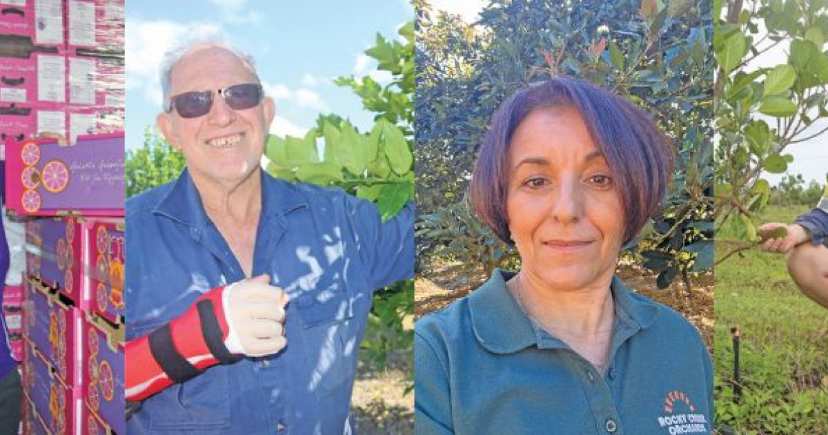 Farmers up for prestigious industry award | The Express Newspaper ...